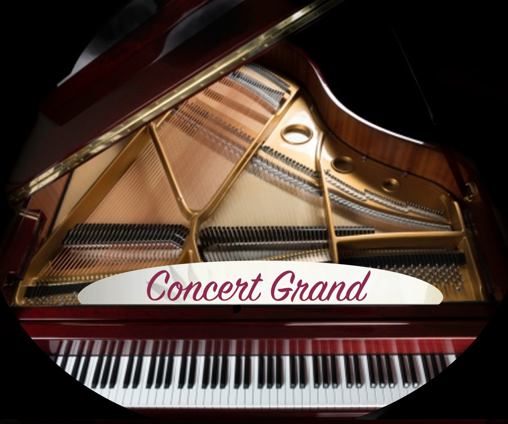 Concert Grand HB D Taster - Free and Tasty Presets - Play & Enjoy ...